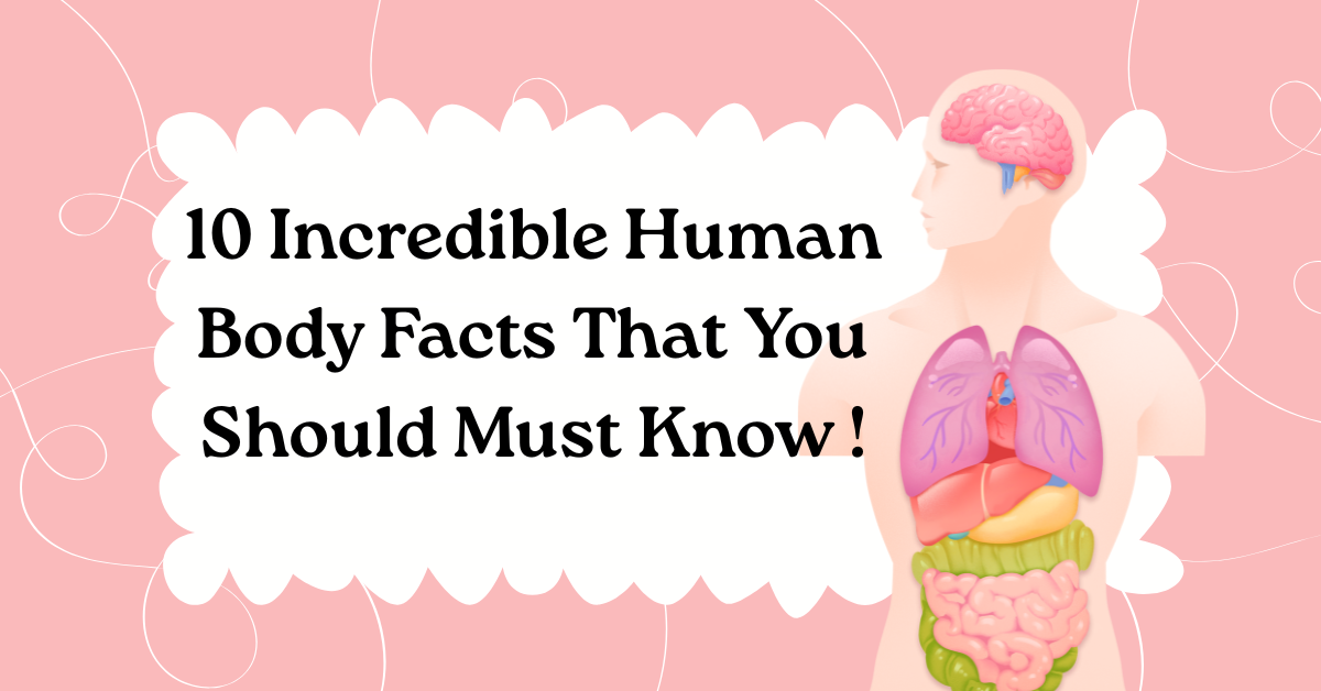 10 Incredible Human Body Facts You Won’t Believe Are True